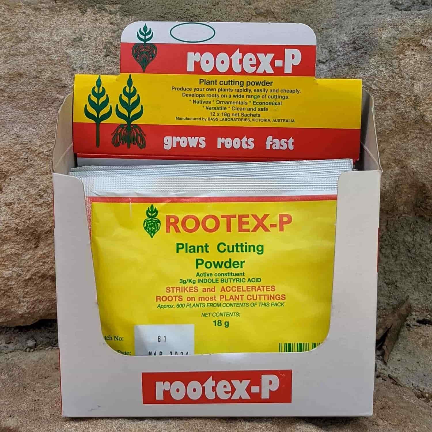 Online Cacti Shop & Cactus Landscaping - Cactus Culture Australia