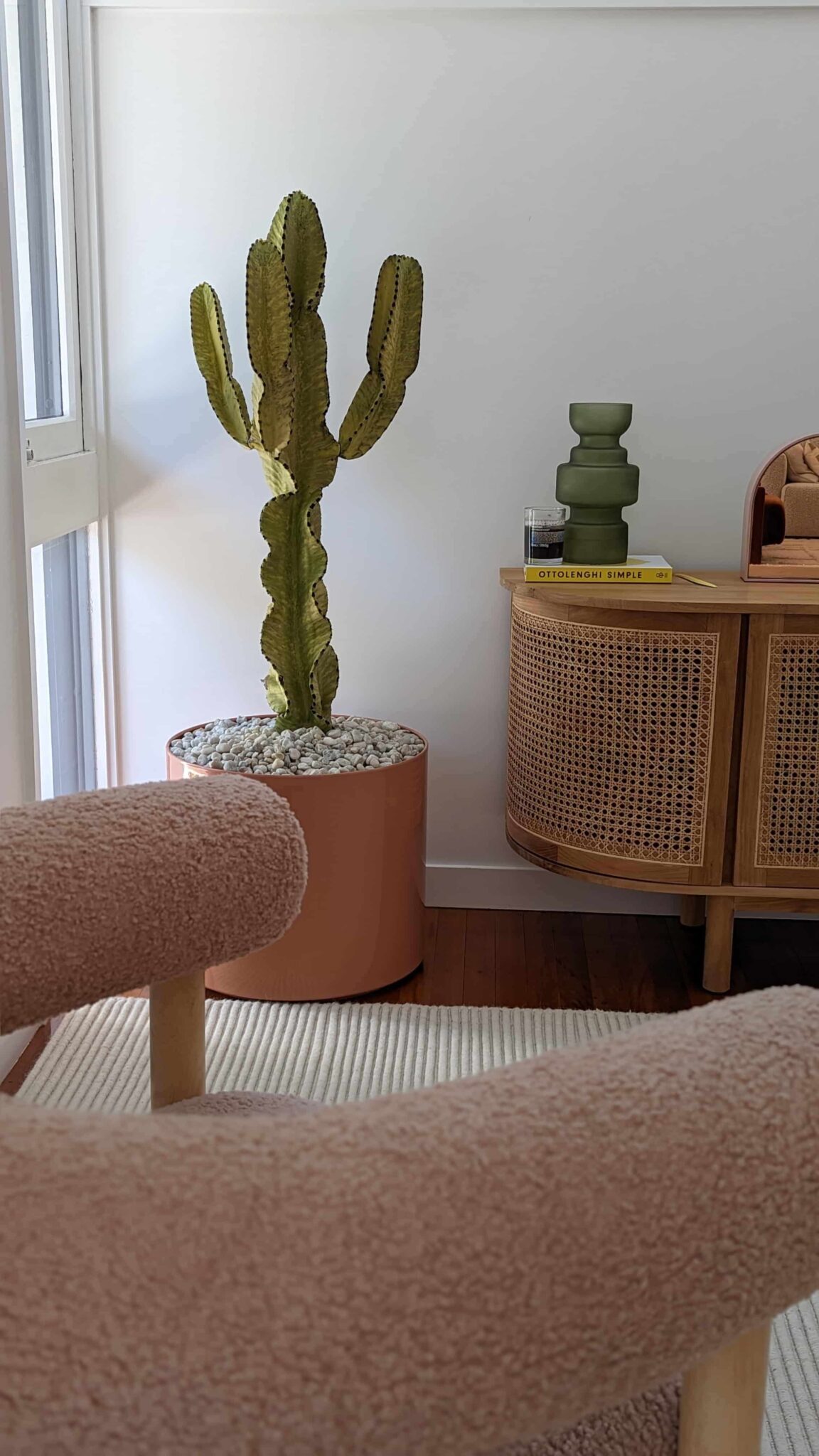 Potted Cacti Installations Brisbane and Surrounds - Cactus Culture ...